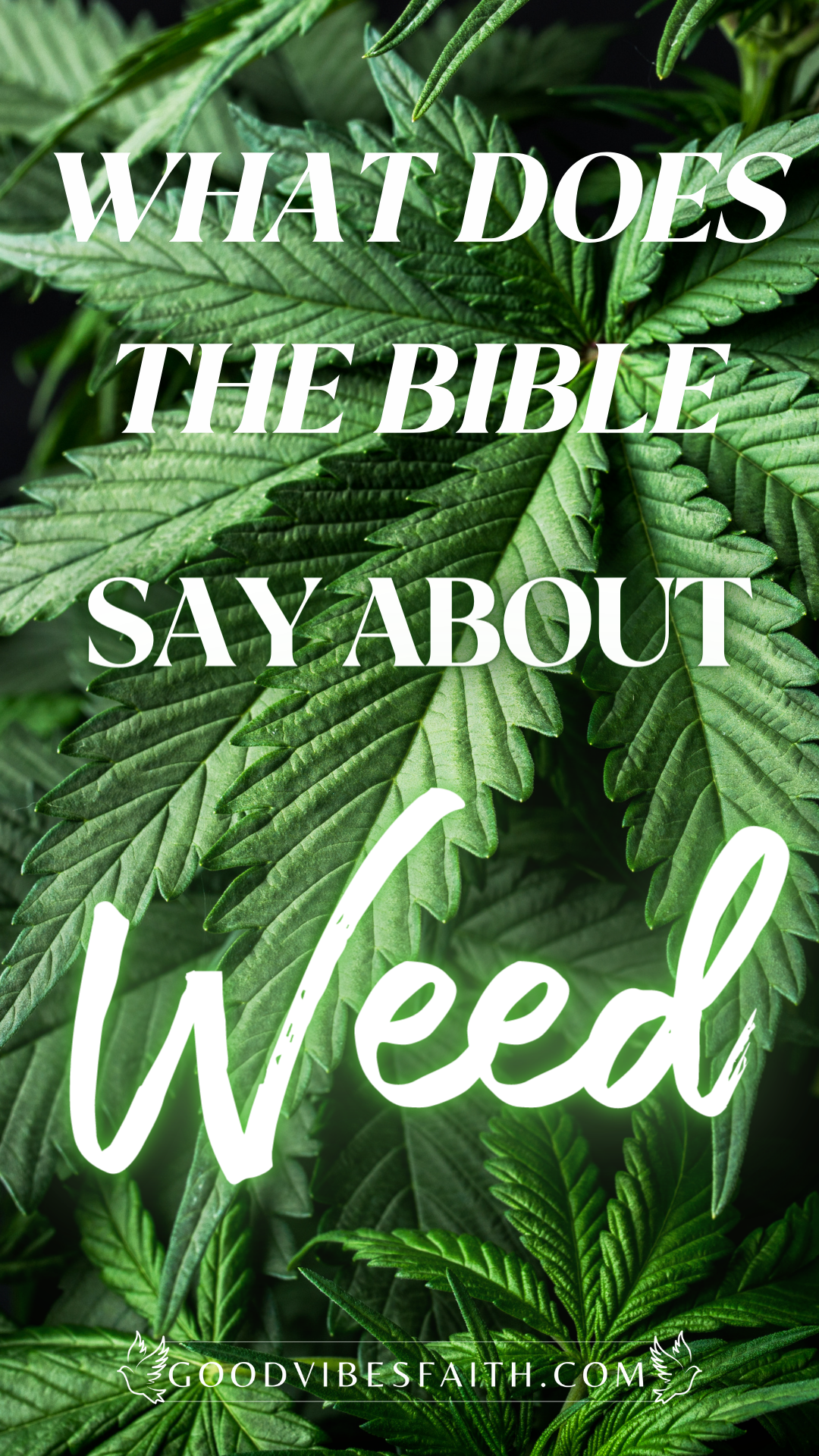 What Does The Bible Say About Weed?