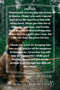 Prayer For My Dog In Heaven: A Tribute To My Beloved Pet