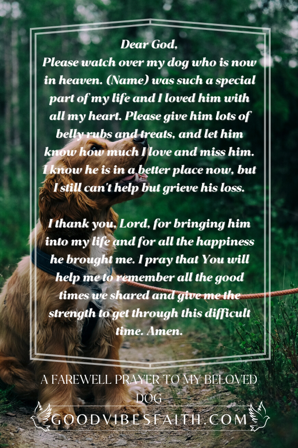 Prayer For My Dog In Heaven A Tribute To My Beloved Pet Prayer For My Dog In Heaven A Tribute To My Beloved Pet