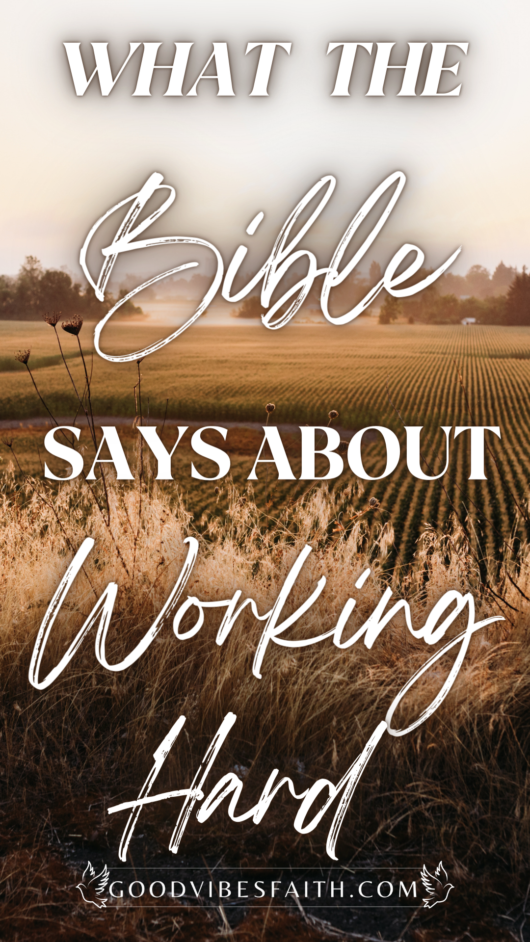 What Does The Bible Say About Working Hard? Motivational Bible Verses About